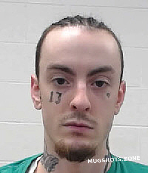 CHANCESTON W DOWDEN 03/21/2025 - Wayne County Mugshots Zone