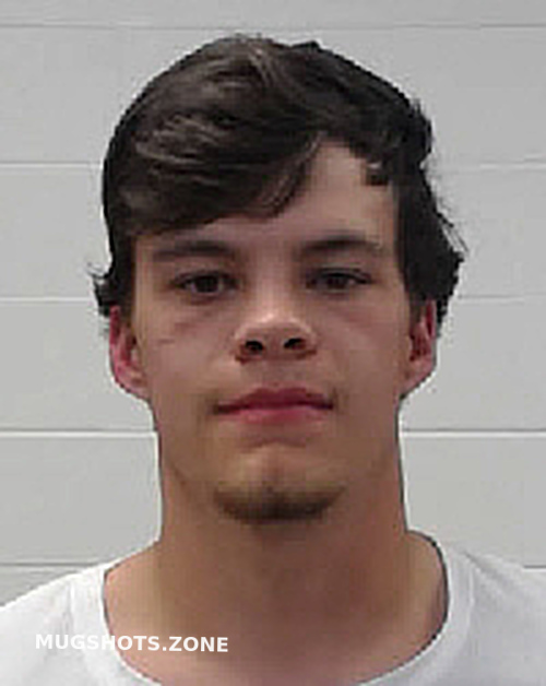TIMOTHY CHASE CUMMINGS 04/11/2025 - Wayne County Mugshots Zone