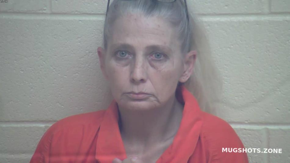 HACKNEY TRACY LYNN 01/10/2024 - Webster County Mugshots Zone