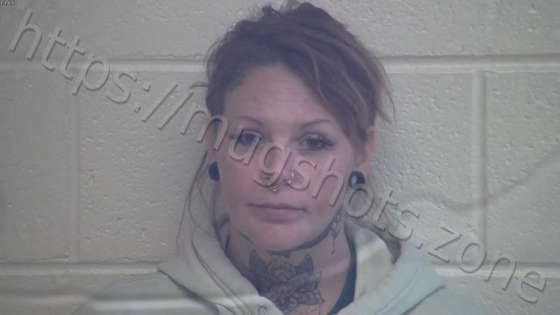 GOWER ANGEL DAWN 03/12/2026 - Webster County Mugshots Zone
