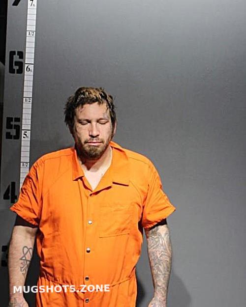STINGER STEVE 04/02/2024 - Western Tidewater Regional Jail Mugshots Zone