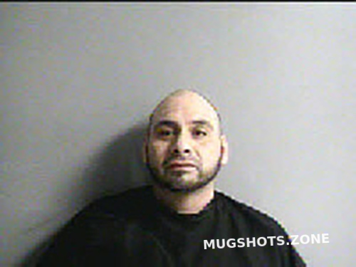 GRACIA GILBERT 10/24/2024 - Wharton County Mugshots Zone