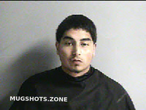 REYES RENE 04/15/2025 - Wharton County Mugshots Zone