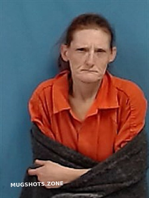 FOSTER SUSAN LYNN 04/03/2023 - White County Mugshots Zone FOSTER SUSAN LYNN 04/03/2023 - White County Mugshots Zone