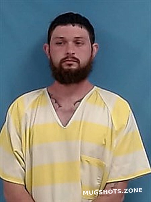 BARNES JAMES RANDELL 07/17/2023 - White County Mugshots Zone