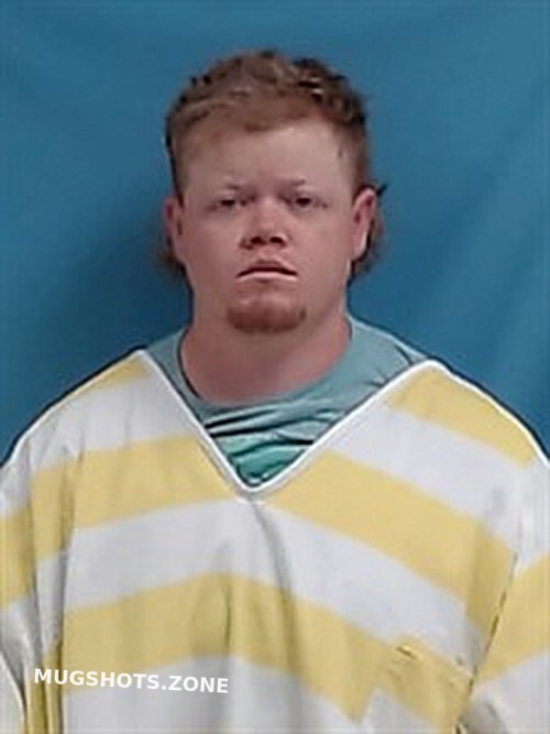 GARNER DYLAN LEWIS 07/20/2023 - White County Mugshots Zone