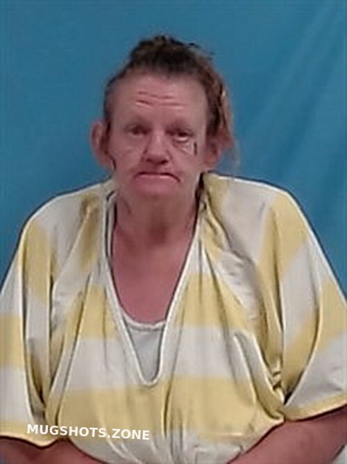 SPIERS TERESA DIANE 08/08/2023 - White County Mugshots Zone