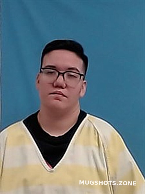 WORKMAN HALEY 01/01/2024 - White County Mugshots Zone