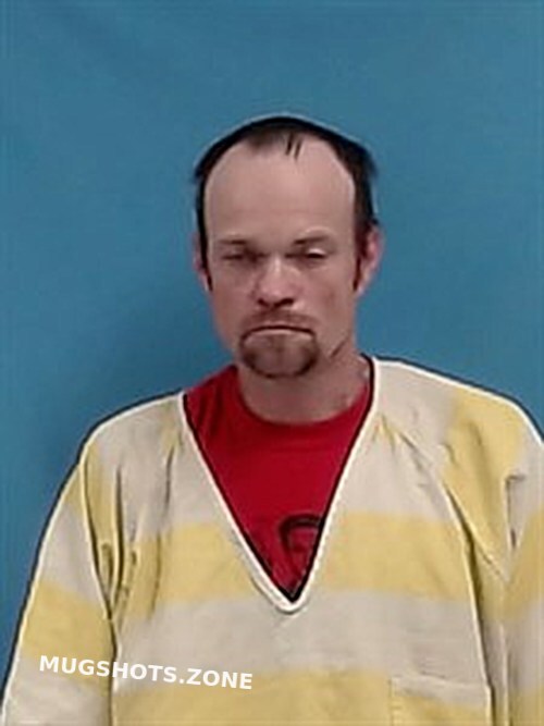 DAVIS WILLARD LARRY 02/15/2024 - White County Mugshots Zone