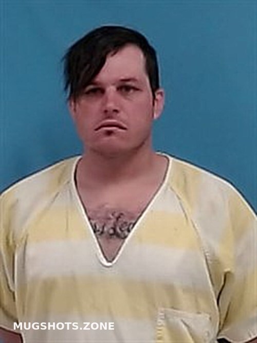 STEED JUSTIN TYLER 03/13/2024 - White County Mugshots Zone