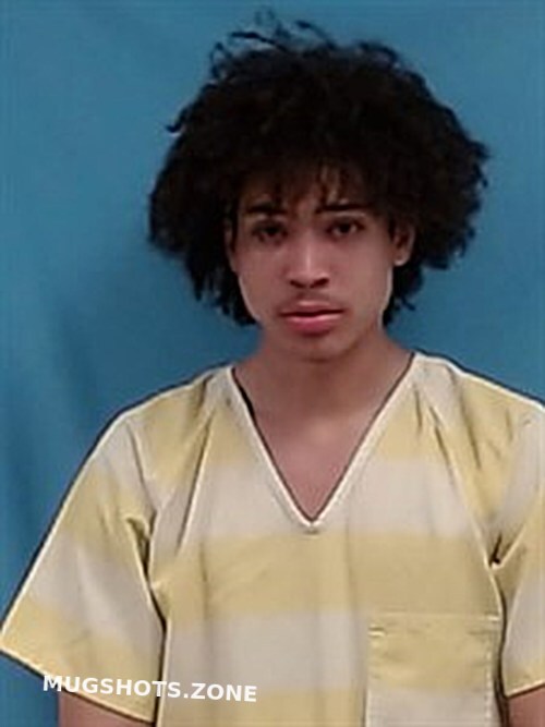ROBINSON CARL MICHAEL 04/14/2024 - White County Mugshots Zone