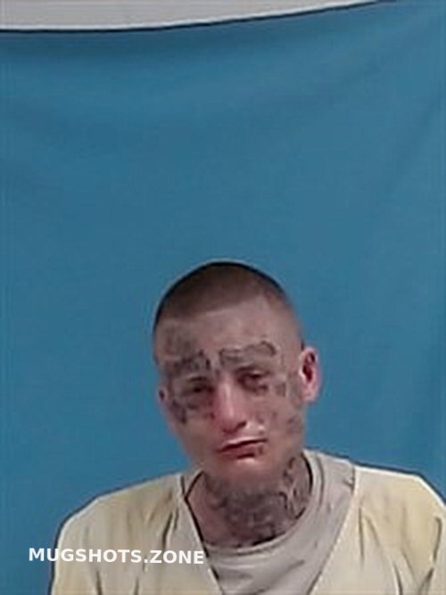 LEMONS TYLER WILLIAM 05/15/2024 - White County Mugshots Zone