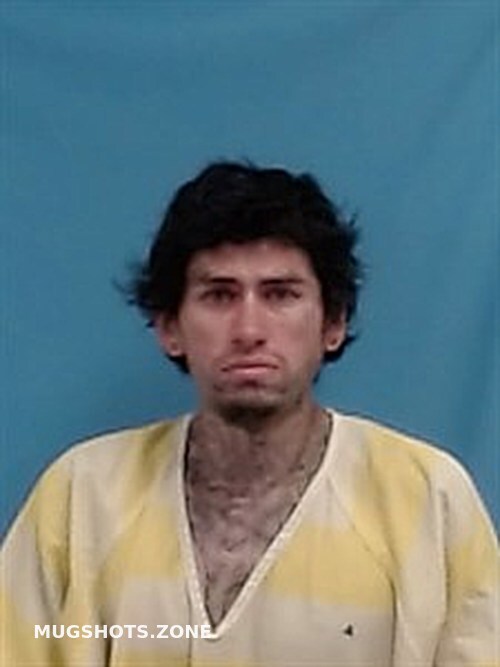 EVERETTS ALEX 06/11/2024 - White County Mugshots Zone