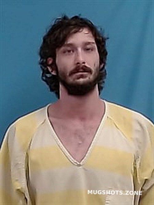 HENLEY NICHOLAS E 08/05/2024 - White County Mugshots Zone