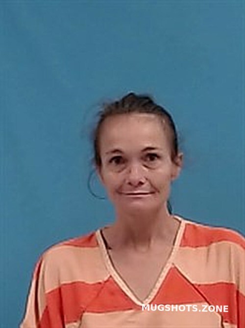 PARSONS MISTY D 11/21/2024 - White County Mugshots Zone