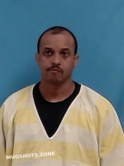 LEE STEPHAN 01/05/2025 - White County Mugshots Zone