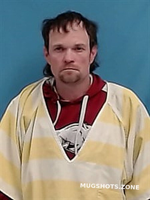 DAVIS WILLARD LARRY 01/20/2025 - White County Mugshots Zone