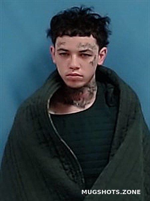 Luna Jakob M 02 11 2025 White County Mugshots Zone