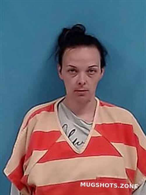 WILSON JAMIE ELIZABETH 03/06/2025 - White County Mugshots Zone