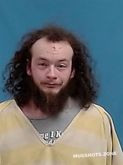 BOUTWELL JOSHUA 03/14/2025 - White County Mugshots Zone