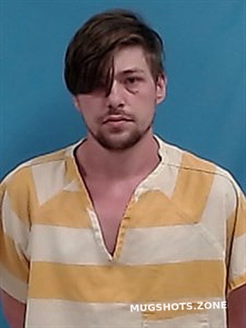 HANDLEY CARL DAVID 04/09/2025 - White County Mugshots Zone