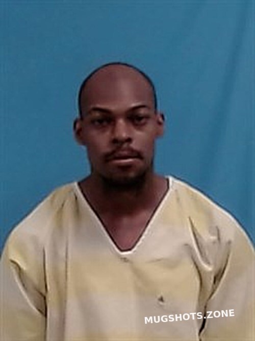 WILLIAMS TYRONE DAVID 04/19/2025 - White County Mugshots Zone