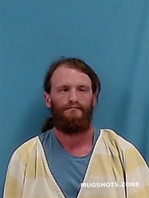 DEAVER MICHAEL LEE 05/13/2025 - White County Mugshots Zone