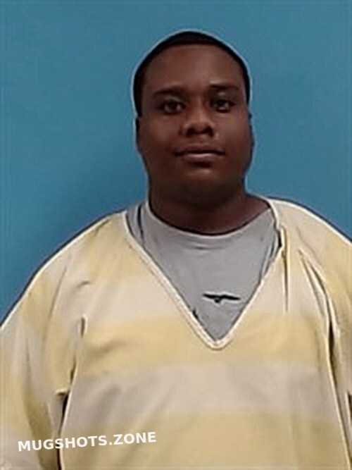 HATCHETT MATTHEW DEAN 05/28/2025 - White County Mugshots Zone