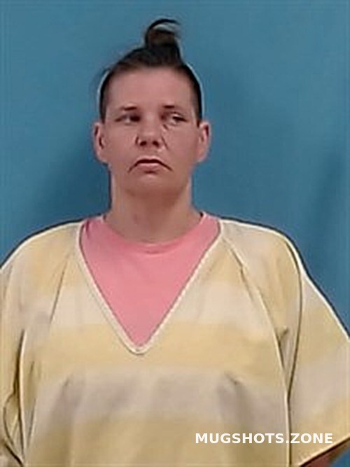 JOHNSON ROBIN ELIZABETH 06/03/2025 - White County Mugshots Zone