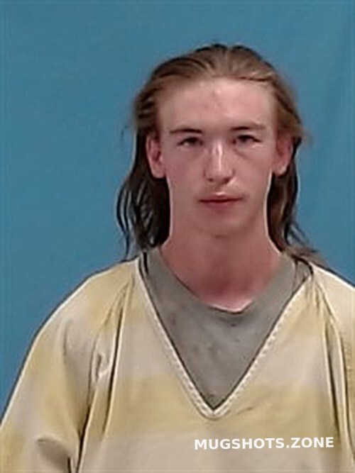MILLER ANTHONY ALDEN 06/06/2025 - White County Mugshots Zone