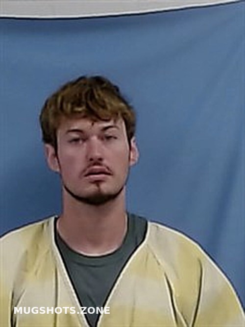 SHINN TYLER GREGORY 06/11/2025 - White County Mugshots Zone