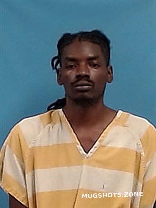 DAVIS RODNEY HOWARD 09/18/2025 - White County Mugshots Zone
