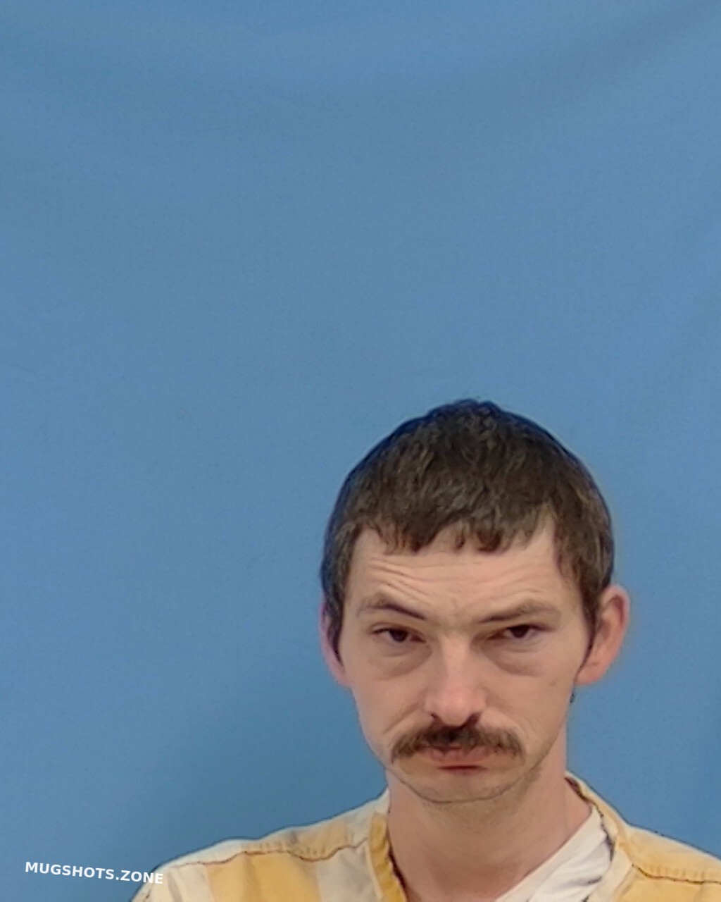 KEY WESLEE 02/24/2026 - White County Mugshots Zone