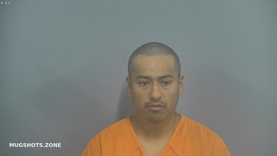 MEJIA MEJIA LUIS ENRIQUE 03/24/2025 - Whitley County Mugshots Zone