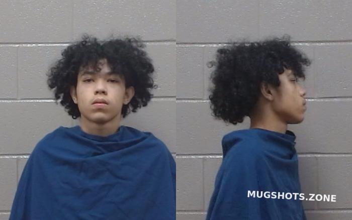 MEADOWS DONOVAN DION-LEVOI 11/03/2022 - Wichita County Mugshots Zone