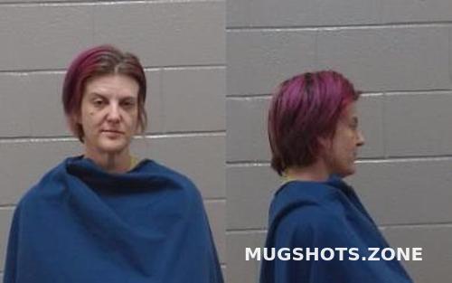 HOTOPP BREHAN ALICIA 03/01/2023 - Wichita County Mugshots Zone