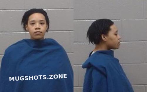 JENKINS ANGELIQUE LASHAY 03/04/2023 - Wichita County Mugshots Zone