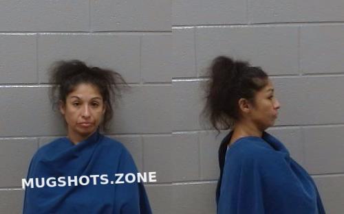 SEPULVEDA MANDY DIANE 05/23/2024 - Wichita County Mugshots Zone