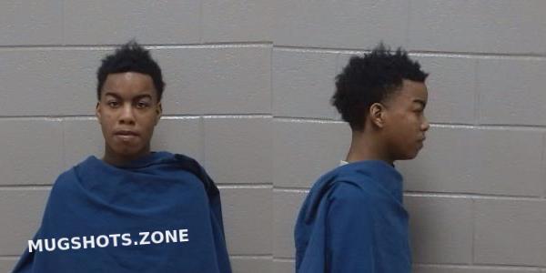 PALMER JA'TRAVION 01/21/2025 - Wichita County Mugshots Zone