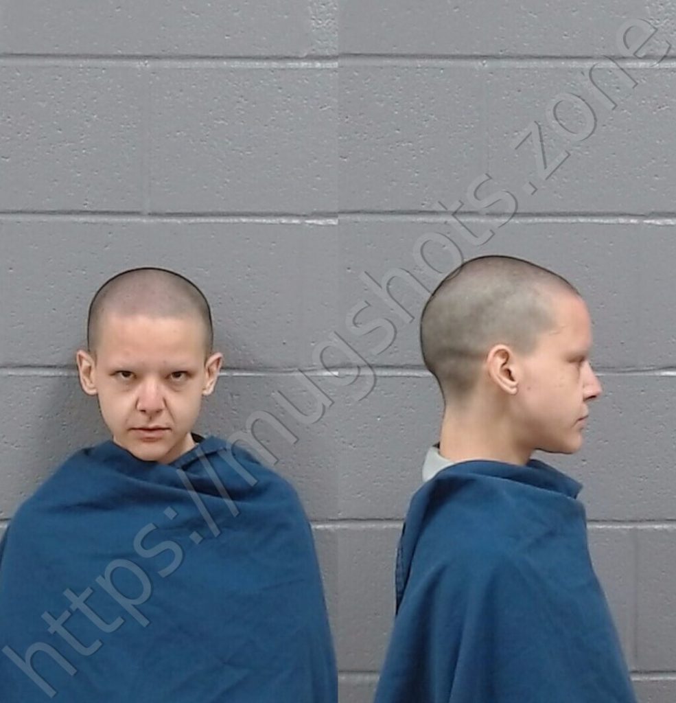 ROBERTS CHARLIE SUE 05/22/2026 - Wichita County Mugshots Zone