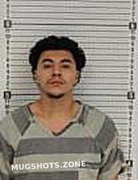 REYES EMILIO SALOMON 01/15/2025 - Williams County Mugshots Zone