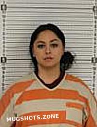POLANCO CRYSTAL MIRANDA 01/24/2025 - Williams County Mugshots Zone