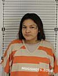 TYNER ALICIA DIANE 02/05/2025 - Williams County Mugshots Zone