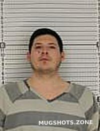 PELTIER NOAH ANDREW 02/11/2025 - Williams County Mugshots Zone