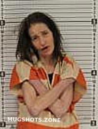 SCOTT TONYA RENE 02/22/2025 - Williams County Mugshots Zone