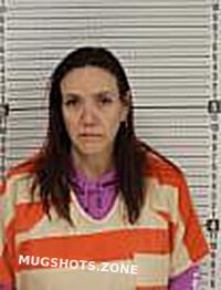 DEGENSTEIN TONYA KAY 03/02/2025 - Williams County Mugshots Zone