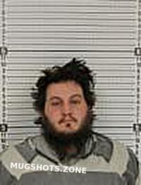 BREEDT CHRISTIAAN THEUNIS GERTSE 03/22/2025 - Williams County Mugshots Zone