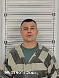 PLEW ANTHONY ERIC 04/07/2025 - Williams County Mugshots Zone