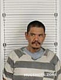 WELCH TERRANCE JAMES 04/30/2025 - Williams County Mugshots Zone