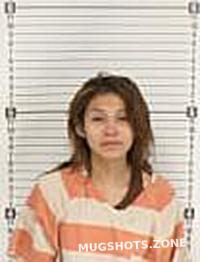 JONES MARTELL JASMYNE LARAE 06/24/2025 - Williams County Mugshots Zone